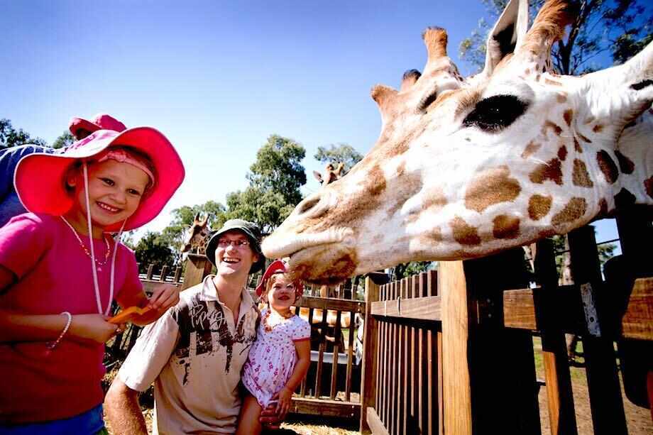 Top 10 Things to Do in Dubbo, NSW, 2025 - Top Oz Tours