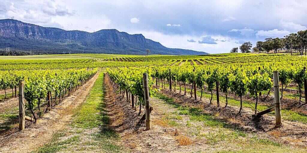 Top 10 Things to Do in the Hunter Valley, 2025 - Top Oz Tours