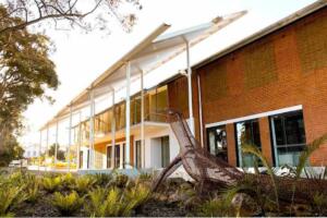 Top 10 Things to Do in the Northern Rivers, NSW - Top Oz Tours