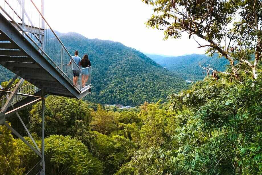 Review: Mamu Tropical Skywalk, East Palmerston, QLD - Top Oz Tours