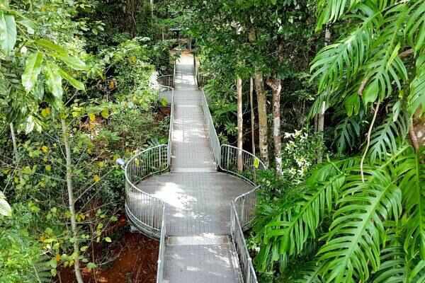 Review: Mamu Tropical Skywalk, East Palmerston, QLD - Top Oz Tours