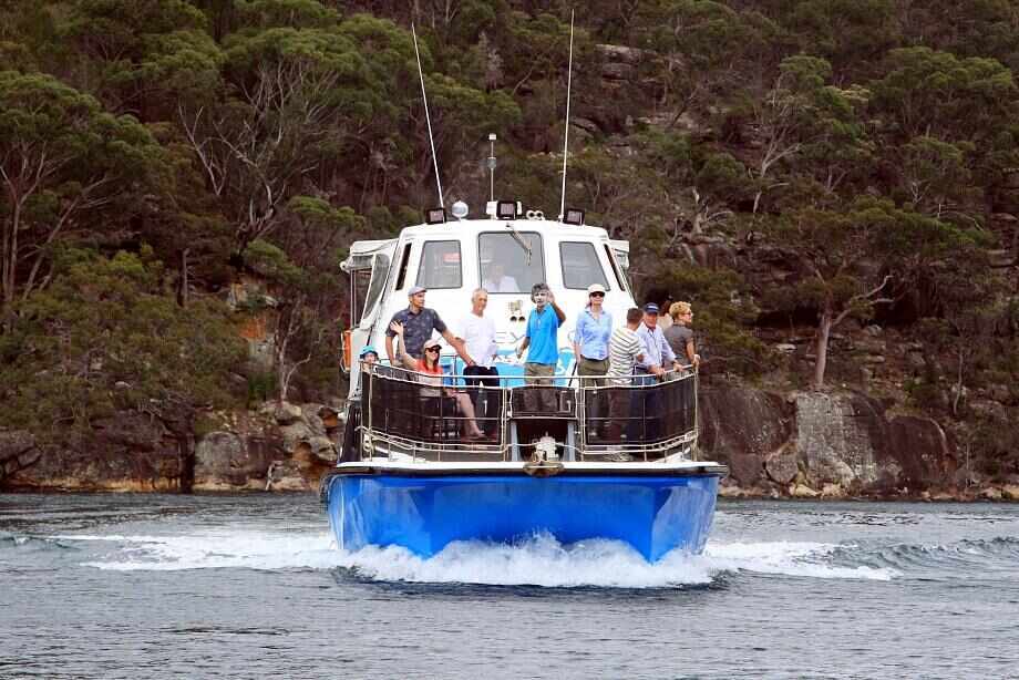 Review: Sydney Aboriginal Rock Art Tour - Top Oz Tours