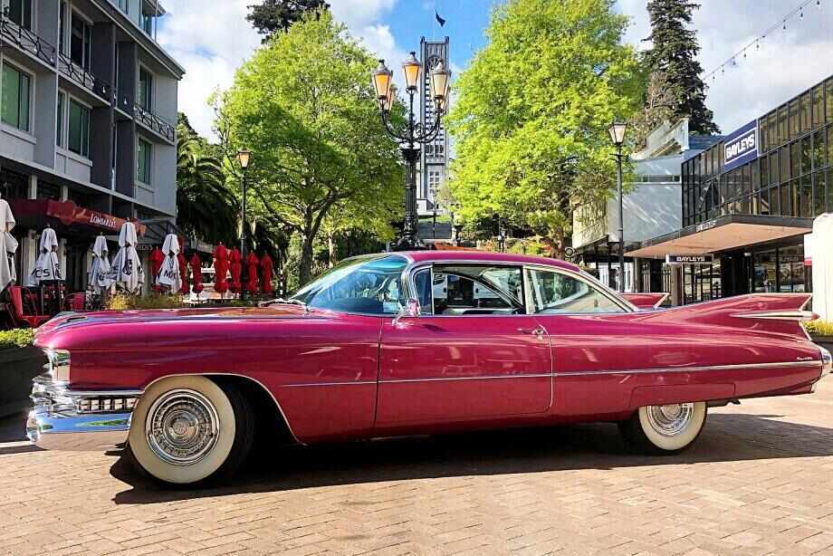 Nelson City Guide, Tours & Things To Do, NZ - Top Oz Tours