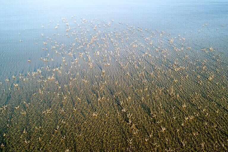 Top 10 Things to Do in Menindee, NSW, 2025 - Top Oz Tours