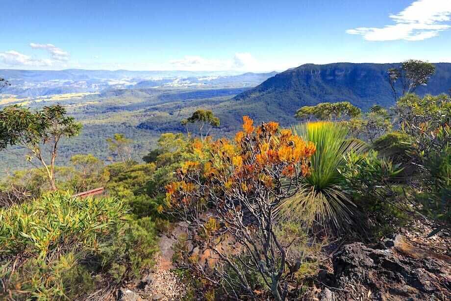 Ten of the Best Blue Mountains Bushwalks, NSW - Top Oz Tours