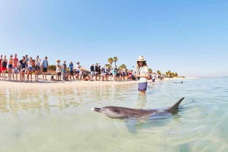Top 10 Things to Do in Shark Bay, WA, 2025 - Top Oz Tours
