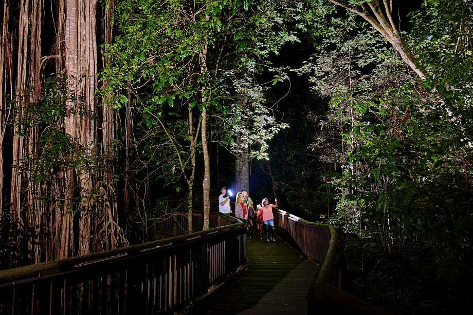 Atherton Tablelands Evening Rainforest Tour from Cairns - Top Oz Tours