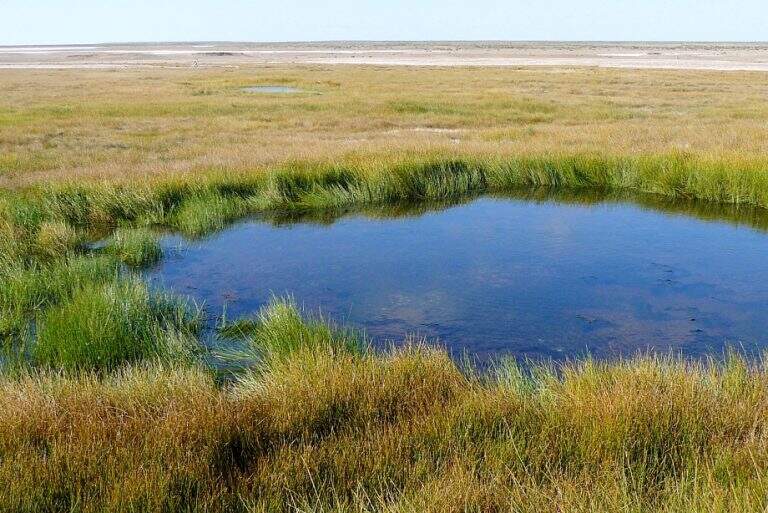 Top 10 Things to Do on the Oodnadatta Track, SA - Top Oz Tours